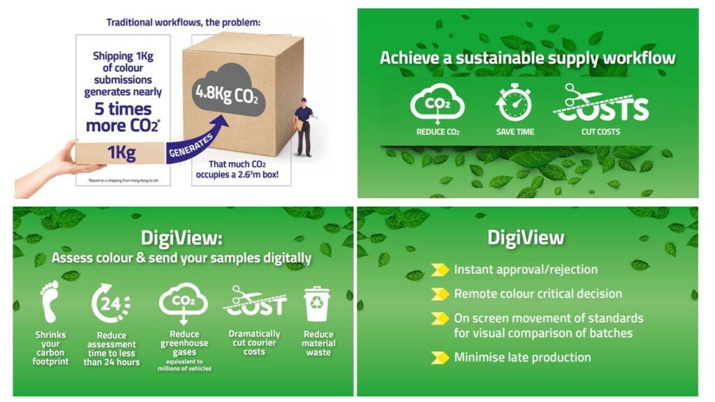 DigiView: Remote Viewing Software